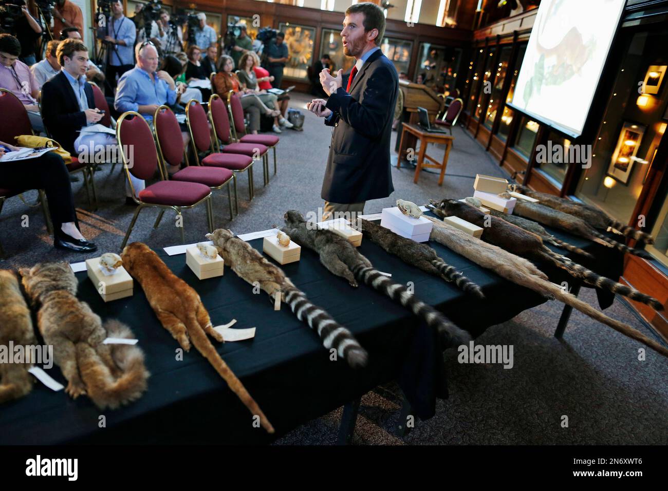 Kristofer Helgen, curator of mammals at the Smithsonian's National ...