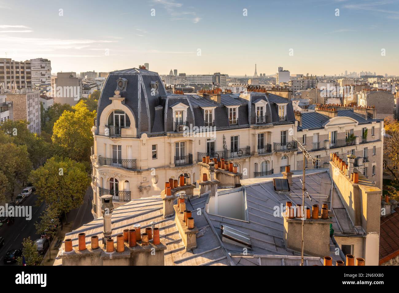 Aerial view of the roofs of Paris, France typical Haussmann building ...