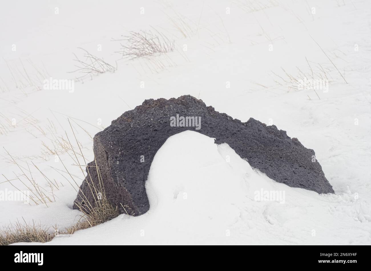 contrast grey volcano rock and white snow in Etna National Park, Sicily ...