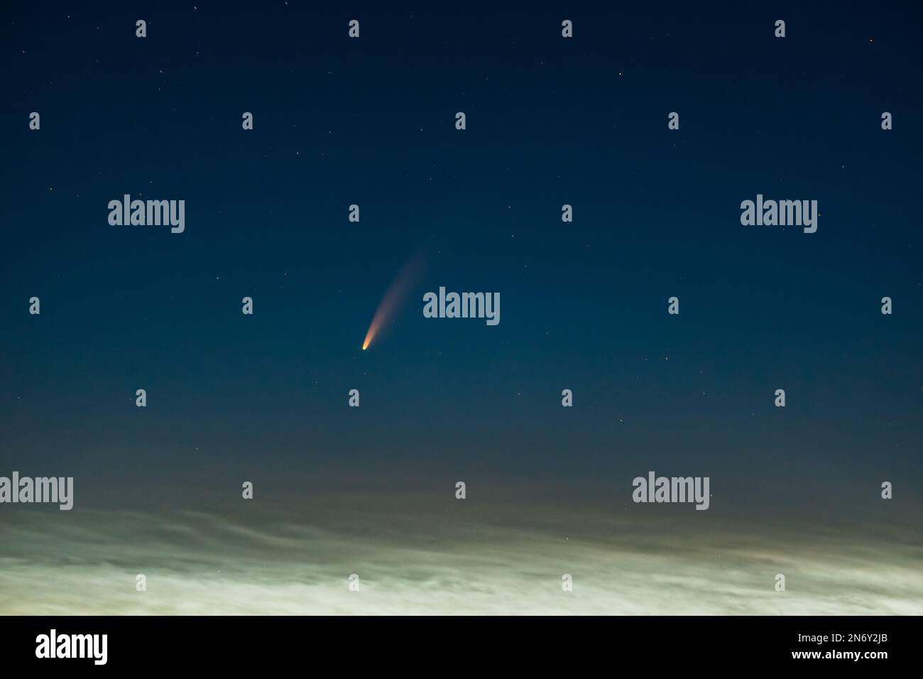 Comet Neowise in the starry night sky Stock Photo - Alamy