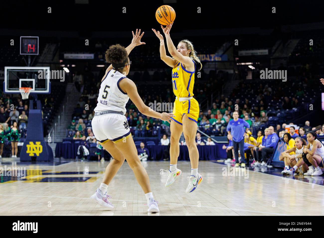 February 09, 2023: Pittsburgh guard Marley Washenitz (11) shoots the ...