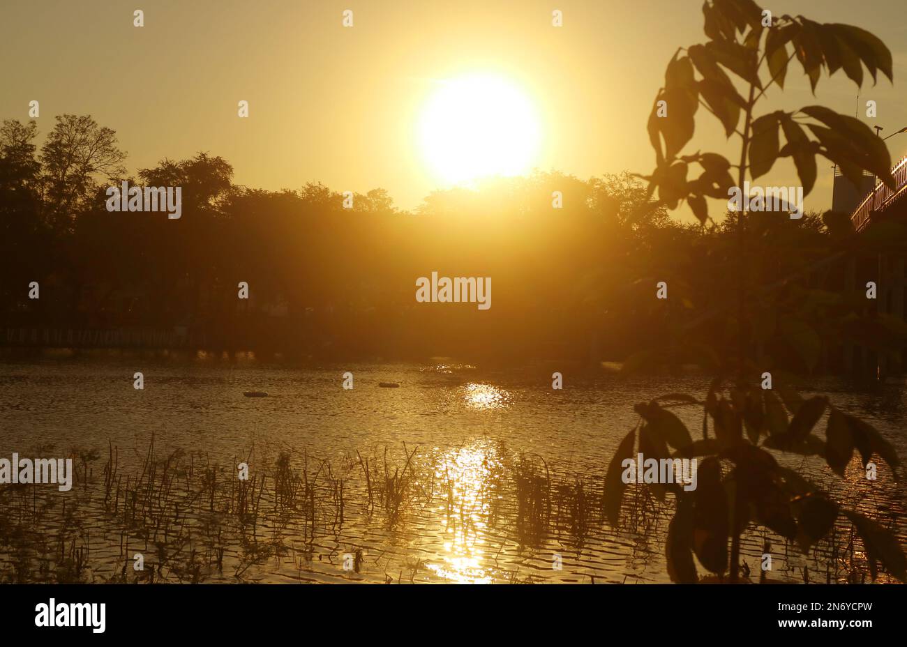 Beautiful golden bright sun hi-res stock photography and images - Alamy