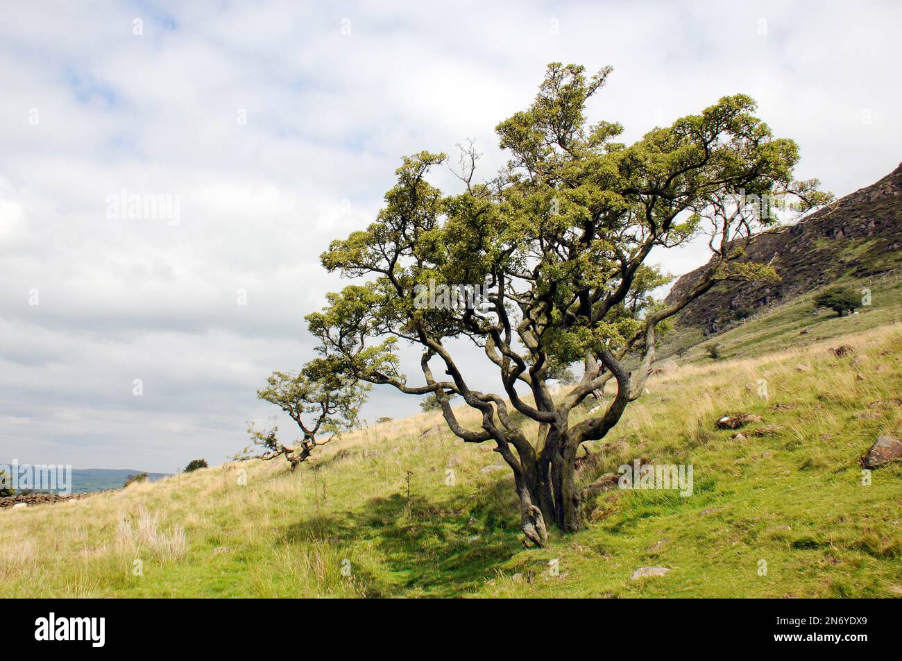 Slemish Mountain near Ballymena, County Antrim, N.Ireland Stock Photo ...