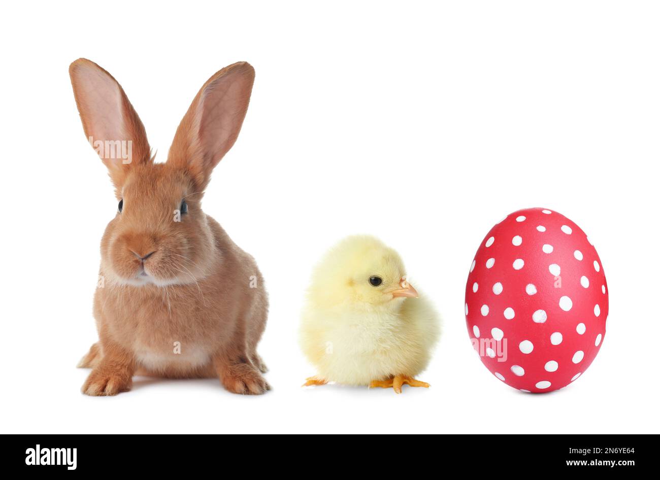 Cute bunny, baby chick and bright Easter egg on white background Stock ...
