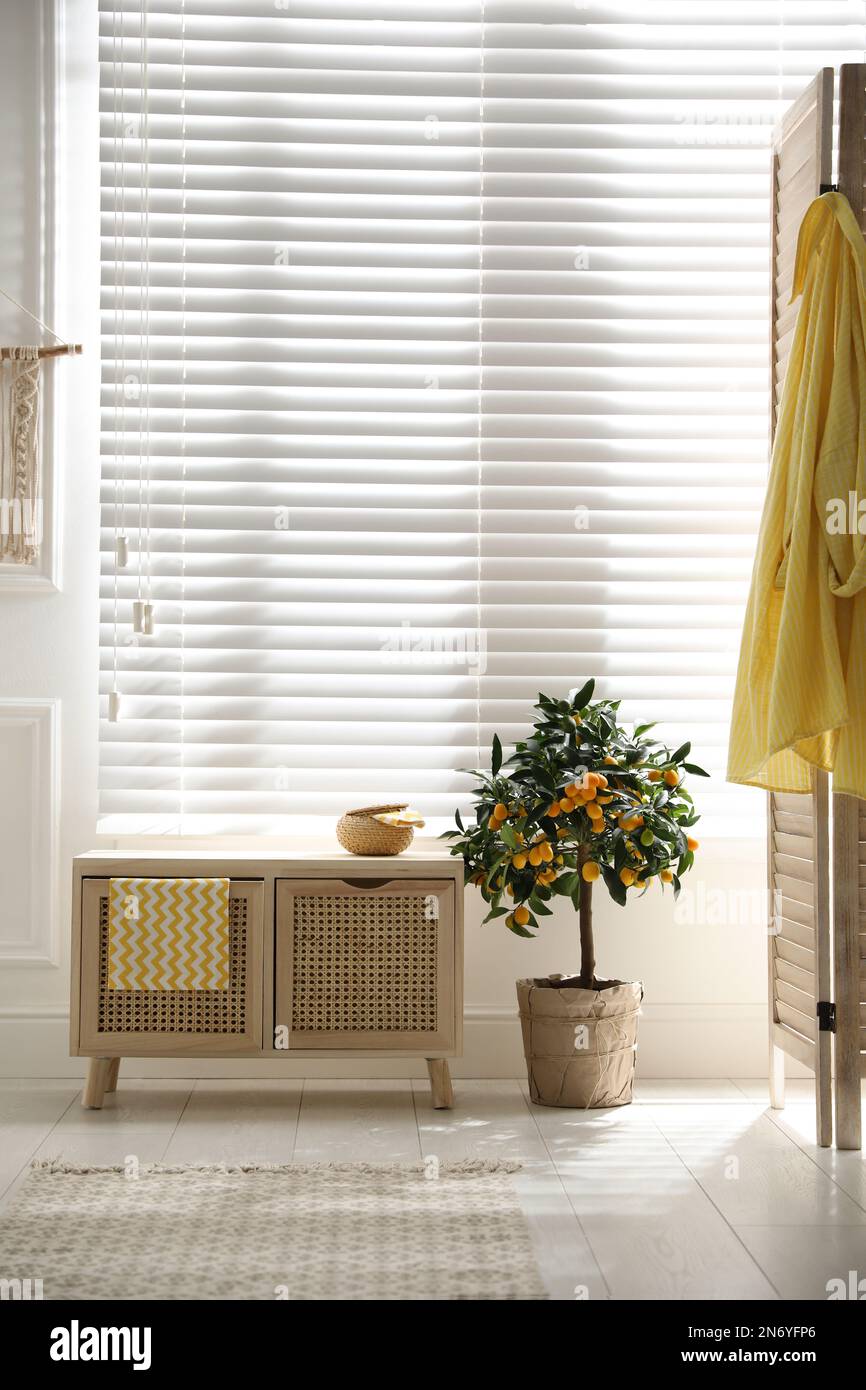 Wooden commode near window in room. Interior design Stock Photo - Alamy