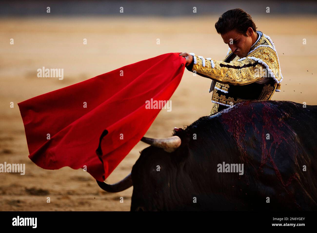 Mexican bullfighter Santiago Fasuto performs with a Mateo Sanchez ranch ...