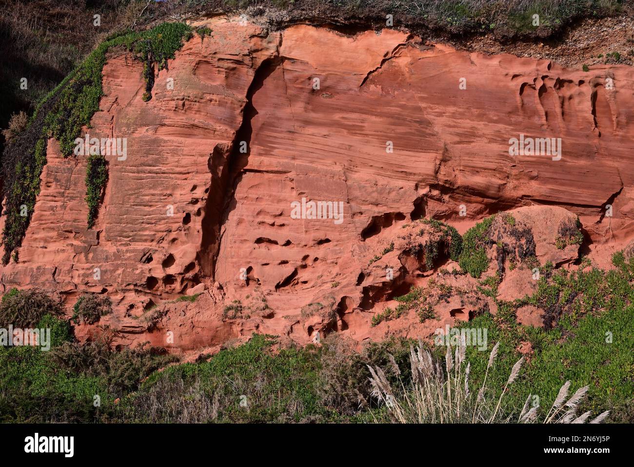 Red sandstone cliffs beside the coastal railway line at Dawlish, South ...