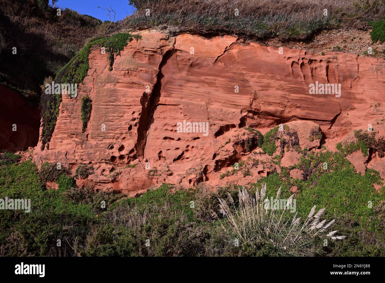 Red sandstone cliffs beside the coastal railway line at Dawlish, South ...