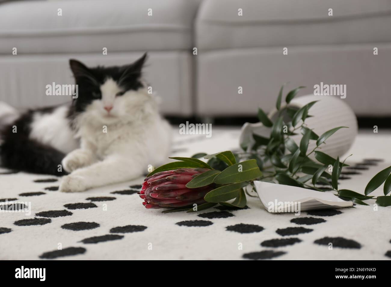 Broken vase flower hi-res stock photography and images - Alamy