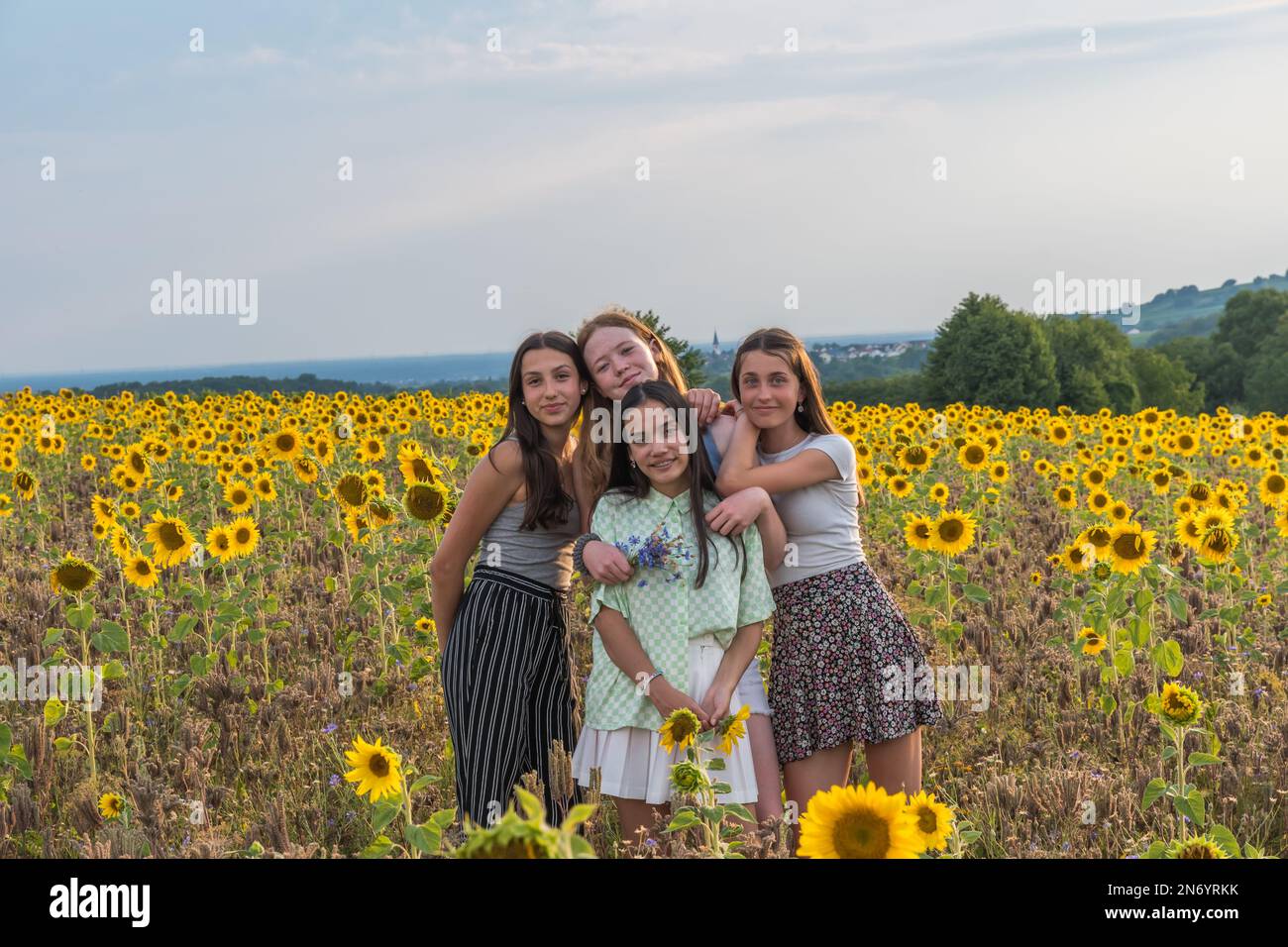 Teenage girls having fun in a sunflower field on a late summer ...
