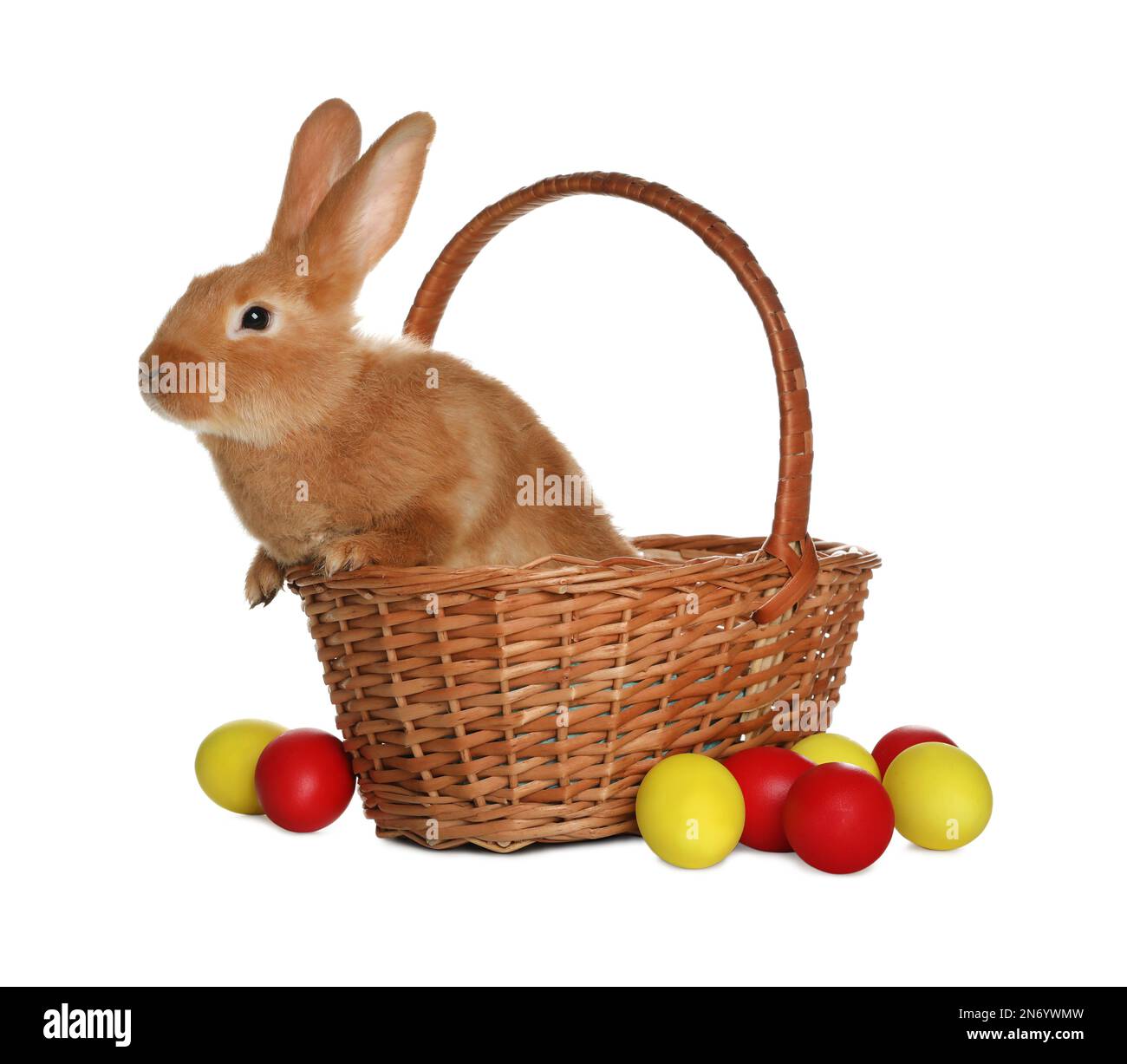 Adorable furry easter bunny hi-res stock photography and images - Alamy