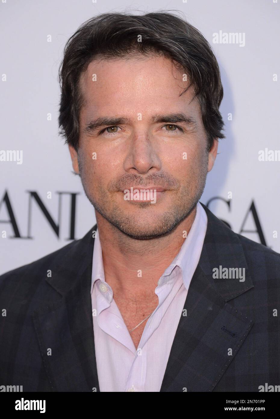 Matthew Settle arrives at the US premiere of "Paranoia" at the DGA ...