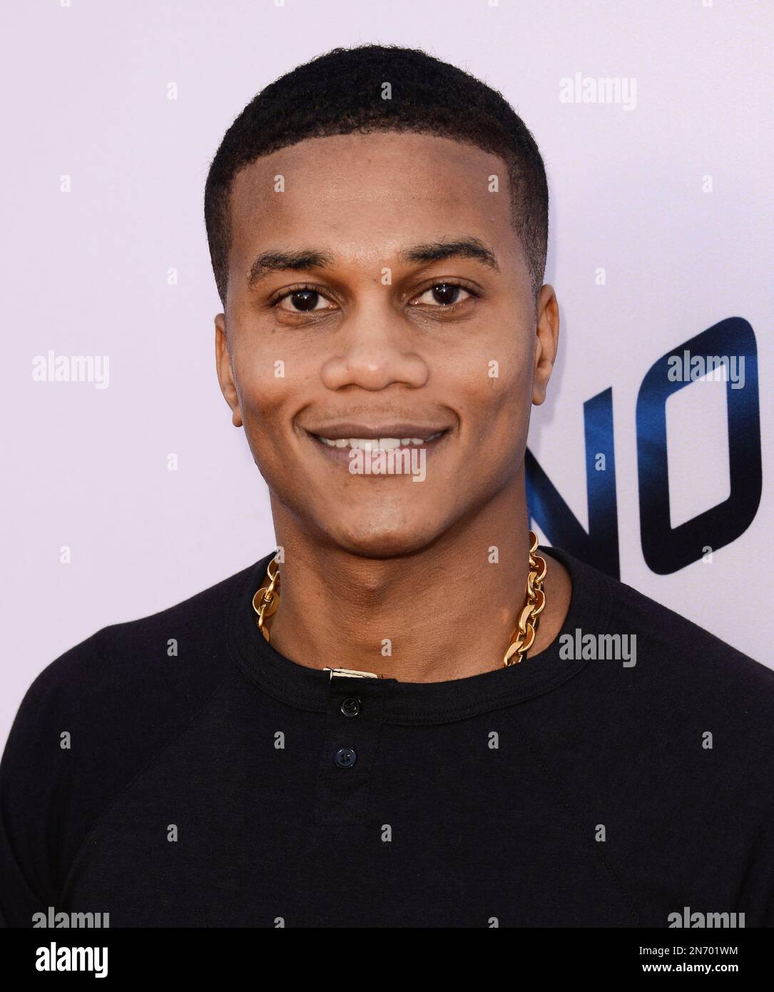 Actor Cory Hardrict arrives on the red carpet at the US premiere of the ...