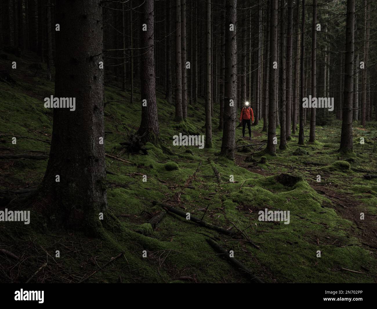 Man with headlamp standing in dark forest Stock Photo - Alamy