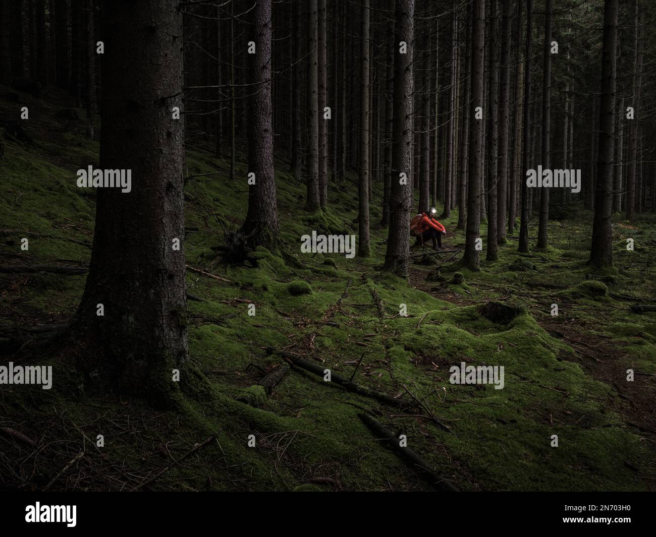 Environment hiker forest man hi-res stock photography and images - Alamy