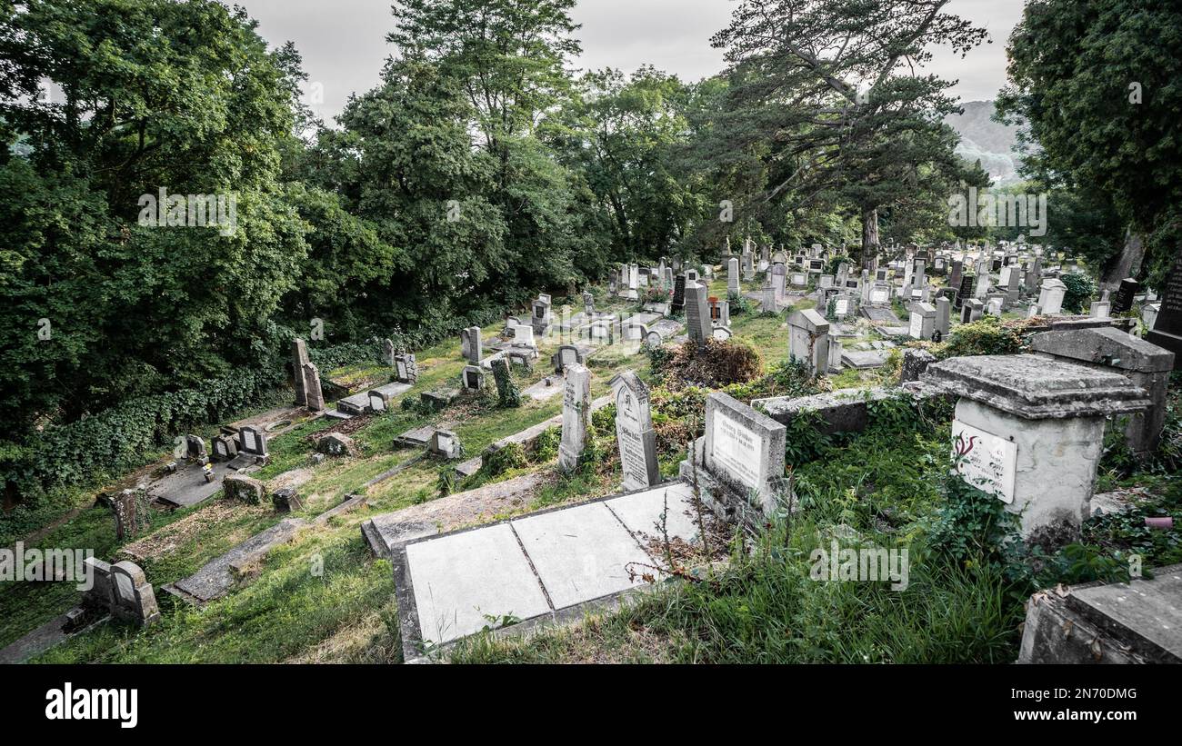 Cemetery is surrounded by lush greenery, with tall trees casting ...