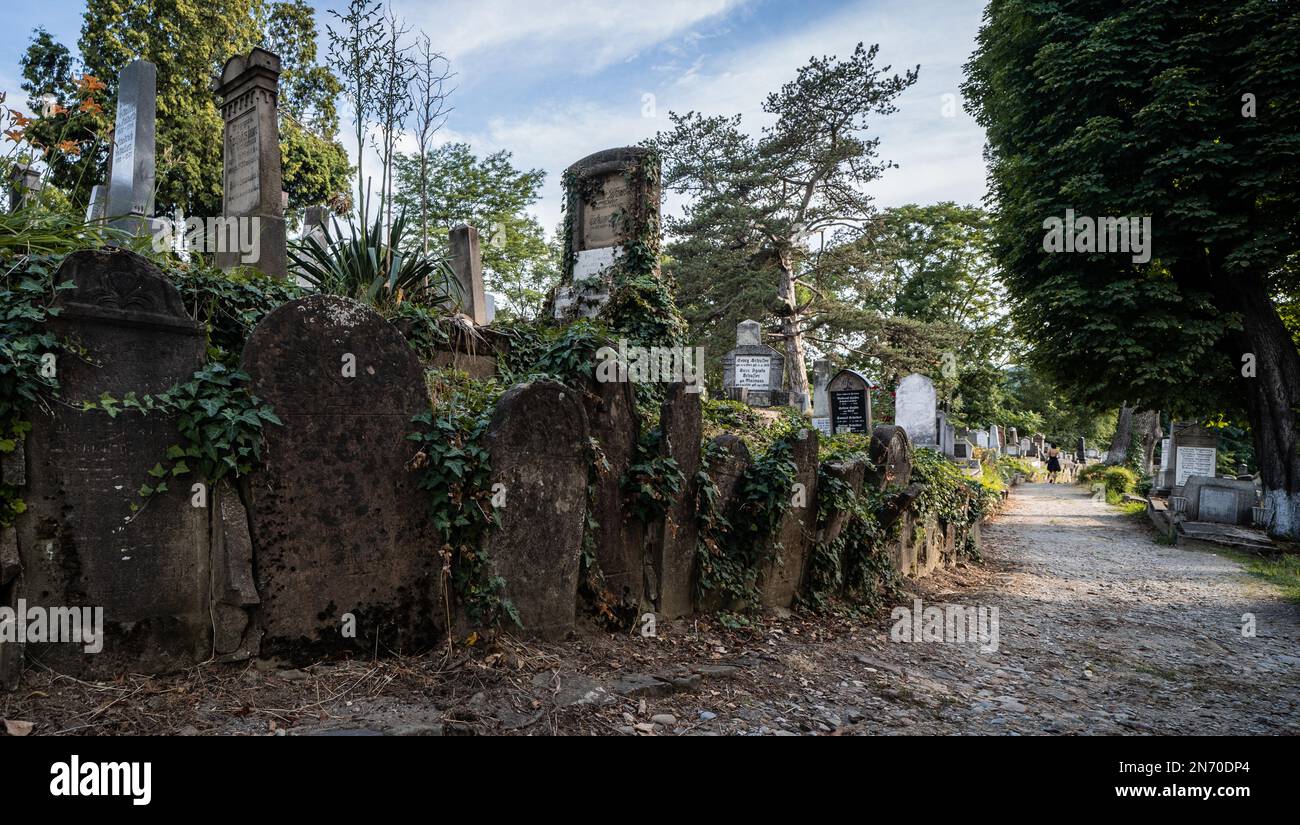 Cemetery is surrounded by lush greenery, with tall trees casting ...