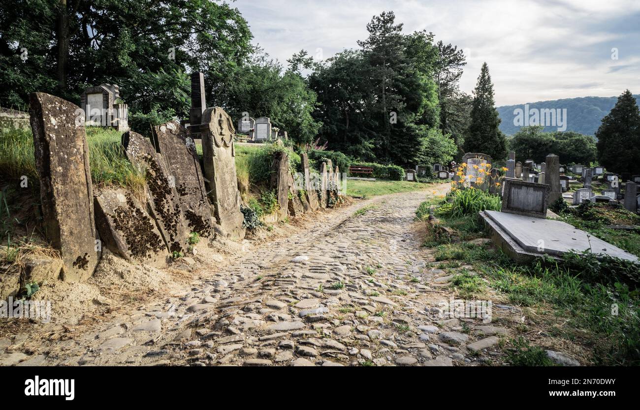 Cemetery is surrounded by lush greenery, with tall trees casting ...