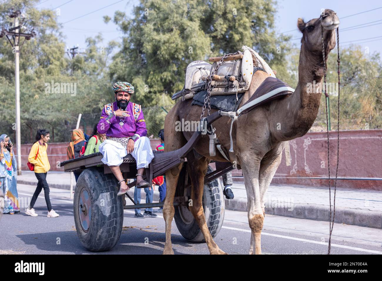 Bikaner, Rajasthan, India - Jan 2023: Camel Festival, Portrait of an ...