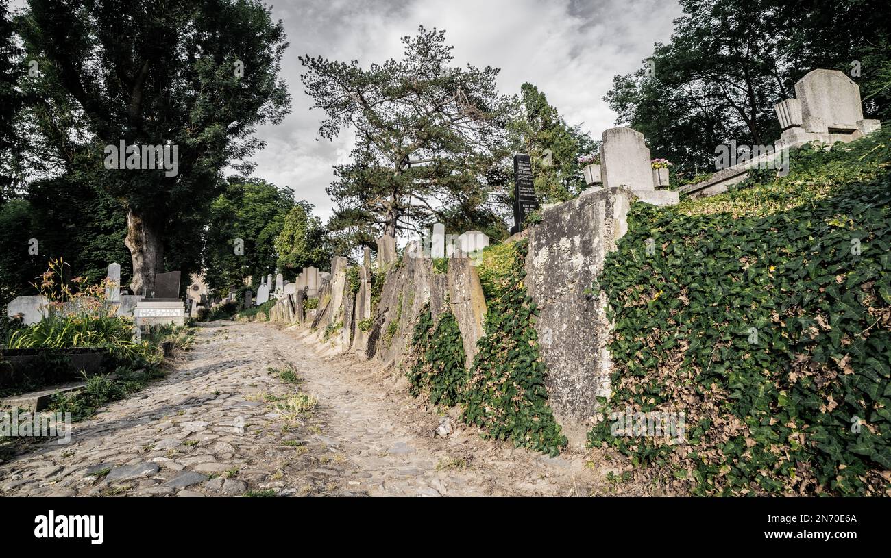 Cemetery is surrounded by lush greenery, with tall trees casting ...