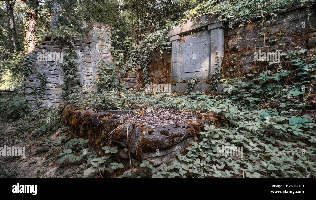 Cemetery is surrounded by lush greenery, with tall trees casting ...