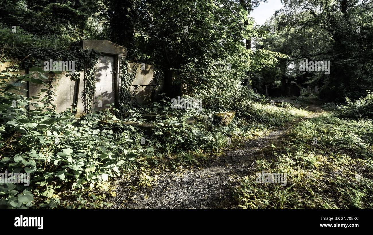 Cemetery is surrounded by lush greenery, with tall trees casting ...