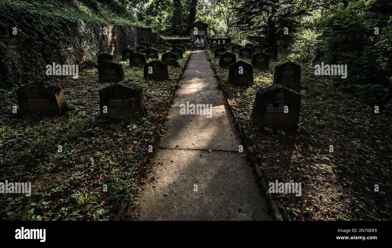 Cemetery is surrounded by lush greenery, with tall trees casting ...