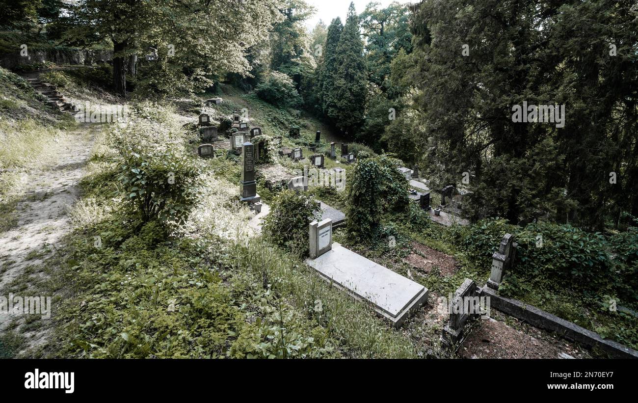 Cemetery is surrounded by lush greenery, with tall trees casting ...