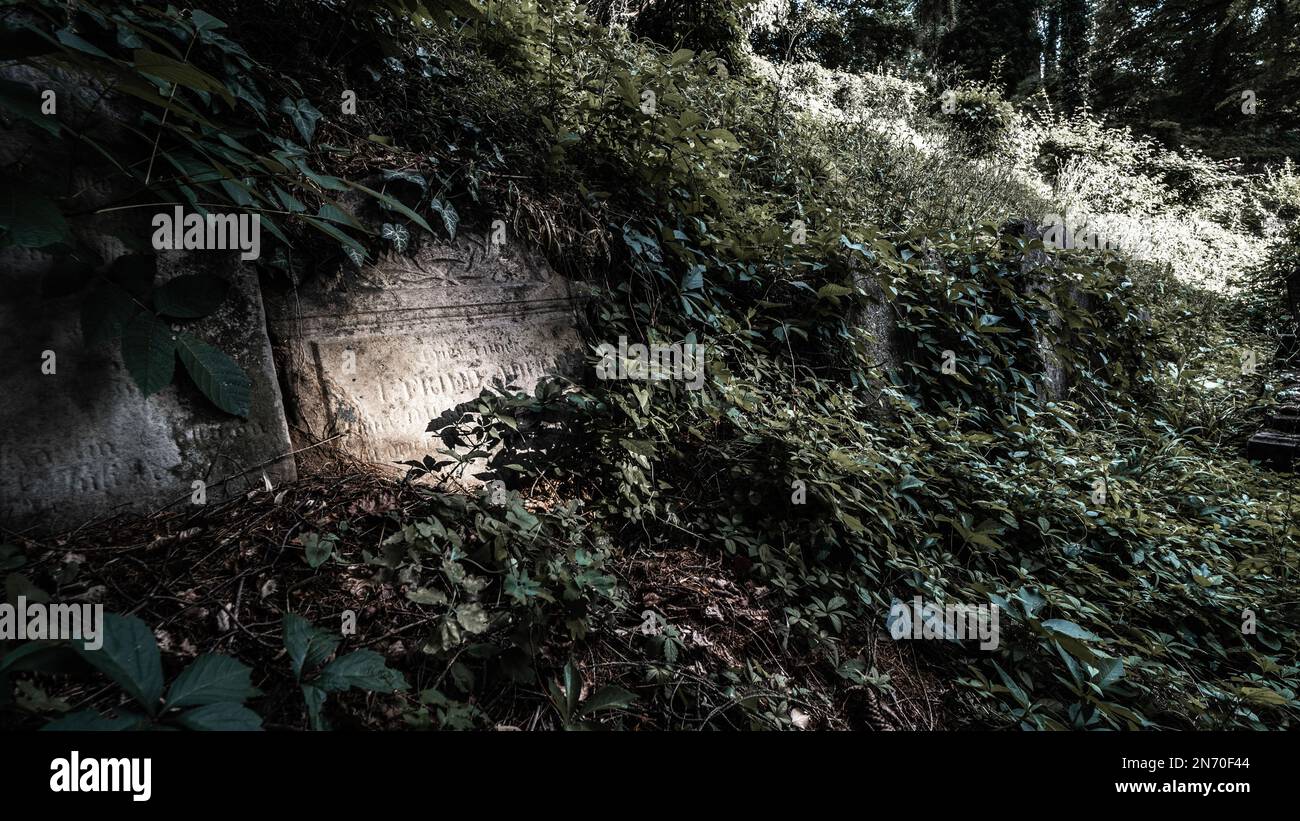 Cemetery is surrounded by lush greenery, with tall trees casting ...