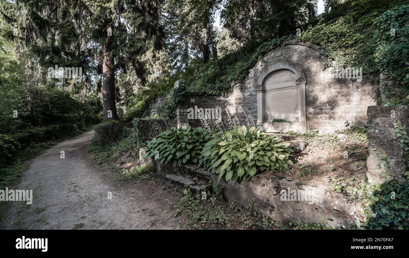 Cemetery is surrounded by lush greenery, with tall trees casting ...