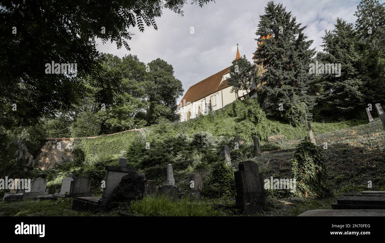 Cemetery is surrounded by lush greenery, with tall trees casting ...