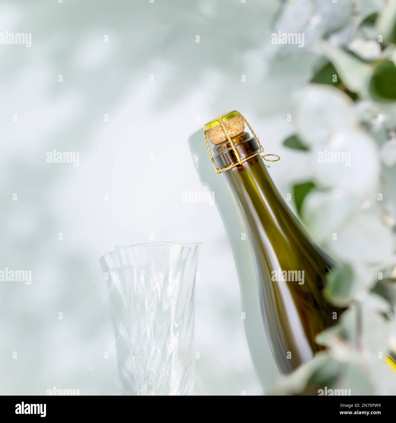 Bottle of champaign with glass on blue background with eucalyptus green ...