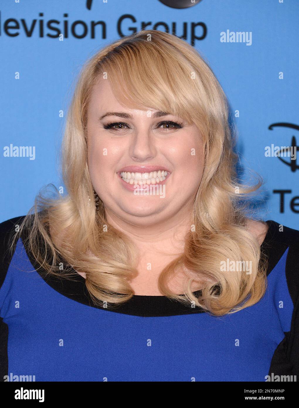 Actress Rebel Wilson arrives at the Disney/ABC 2013 Summer TCA Party at ...