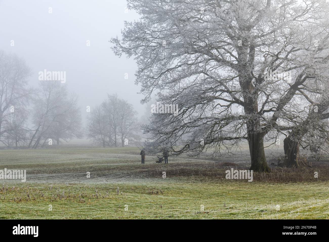 Couple taking their dog for a walk on a cold frosty foggy morning in ...
