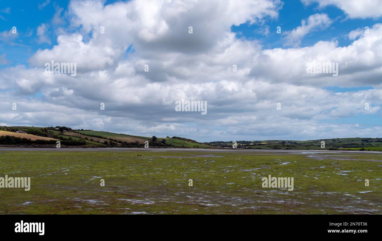 Open seabed after low tide, swamp area. Green hilly landscape on a ...
