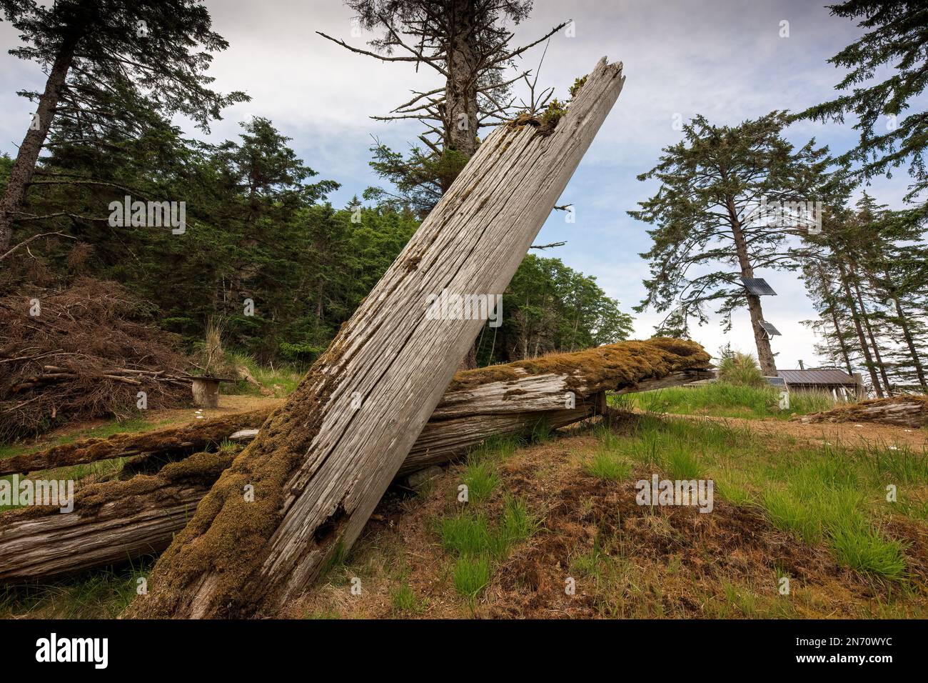 Remains of a mortuary pole, K'uuna Llnagaay (Skedans), Louise Island ...