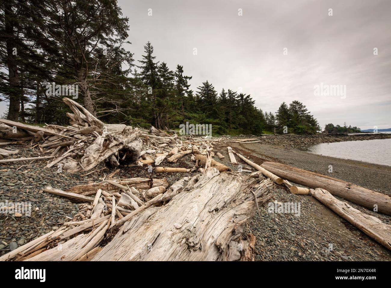Driftwood on the K'uusa Llnagaay (Skedans) beach, Louise Island, Hecate ...