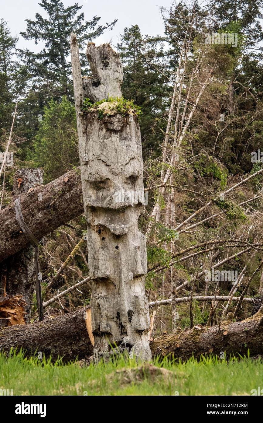 Old weathered mortuary pole,S'Gaang Gwaii, Haida Gwaii, BC Stock Photo ...