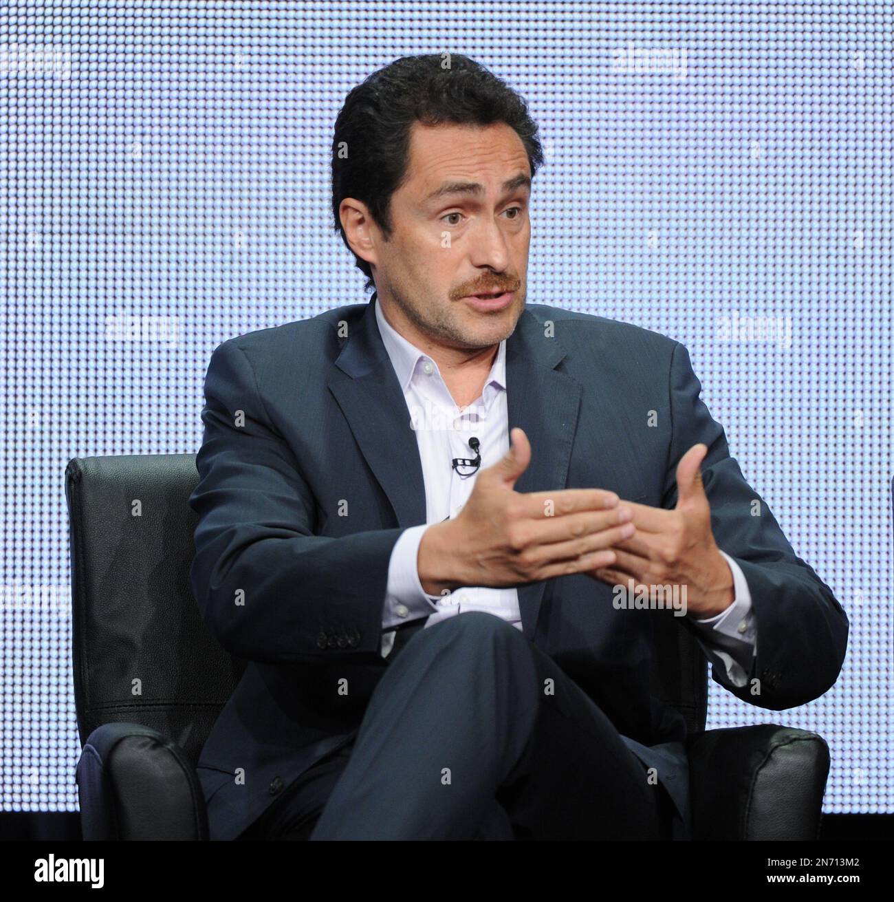 Actor Demian Bichir participates in "The Bridge" panel at the FX 2013 ...