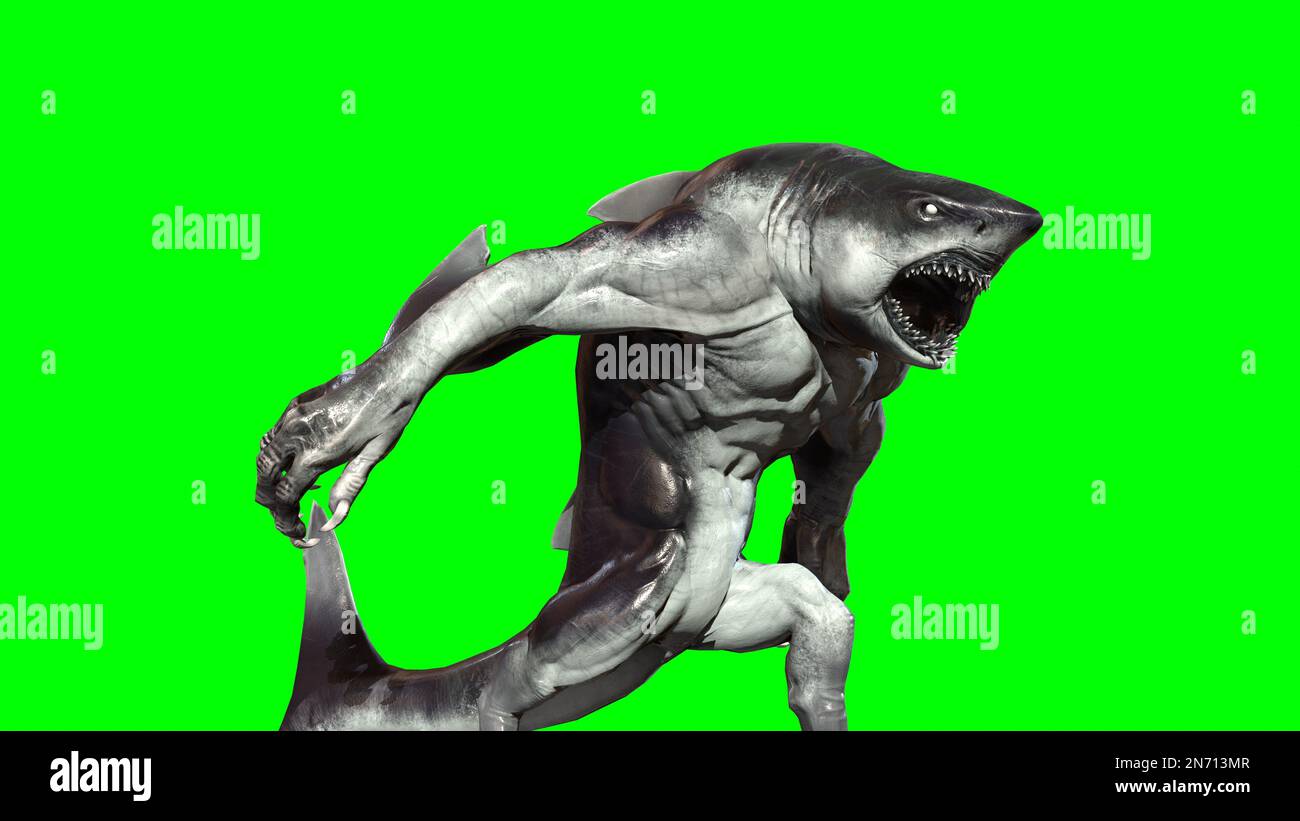 Shark dynamics hi-res stock photography and images - Alamy