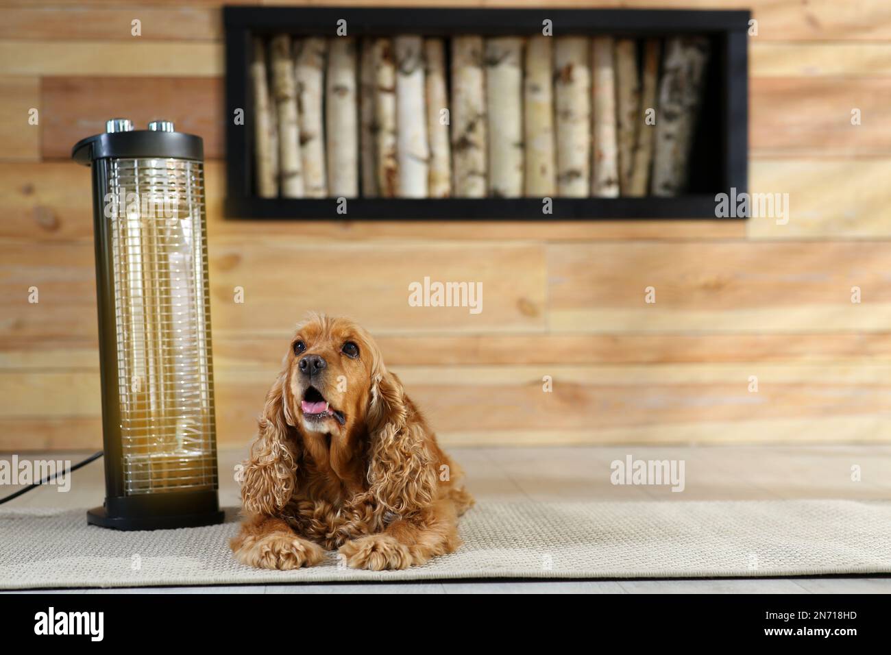 Beautiful cocker spaniel lying on floor near electric heater indoors ...