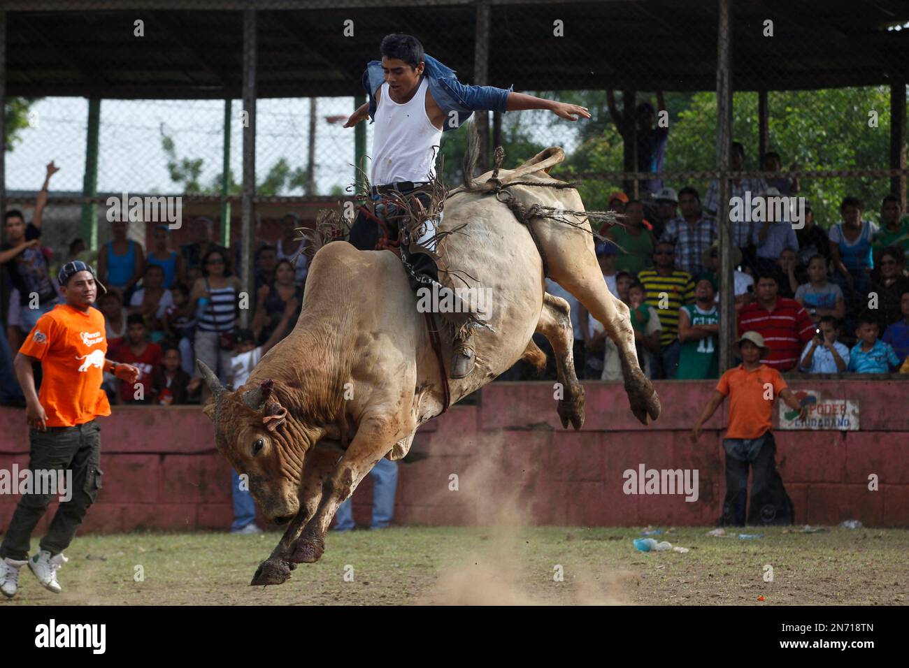 Popping flowers hi-res stock photography and images - Alamy