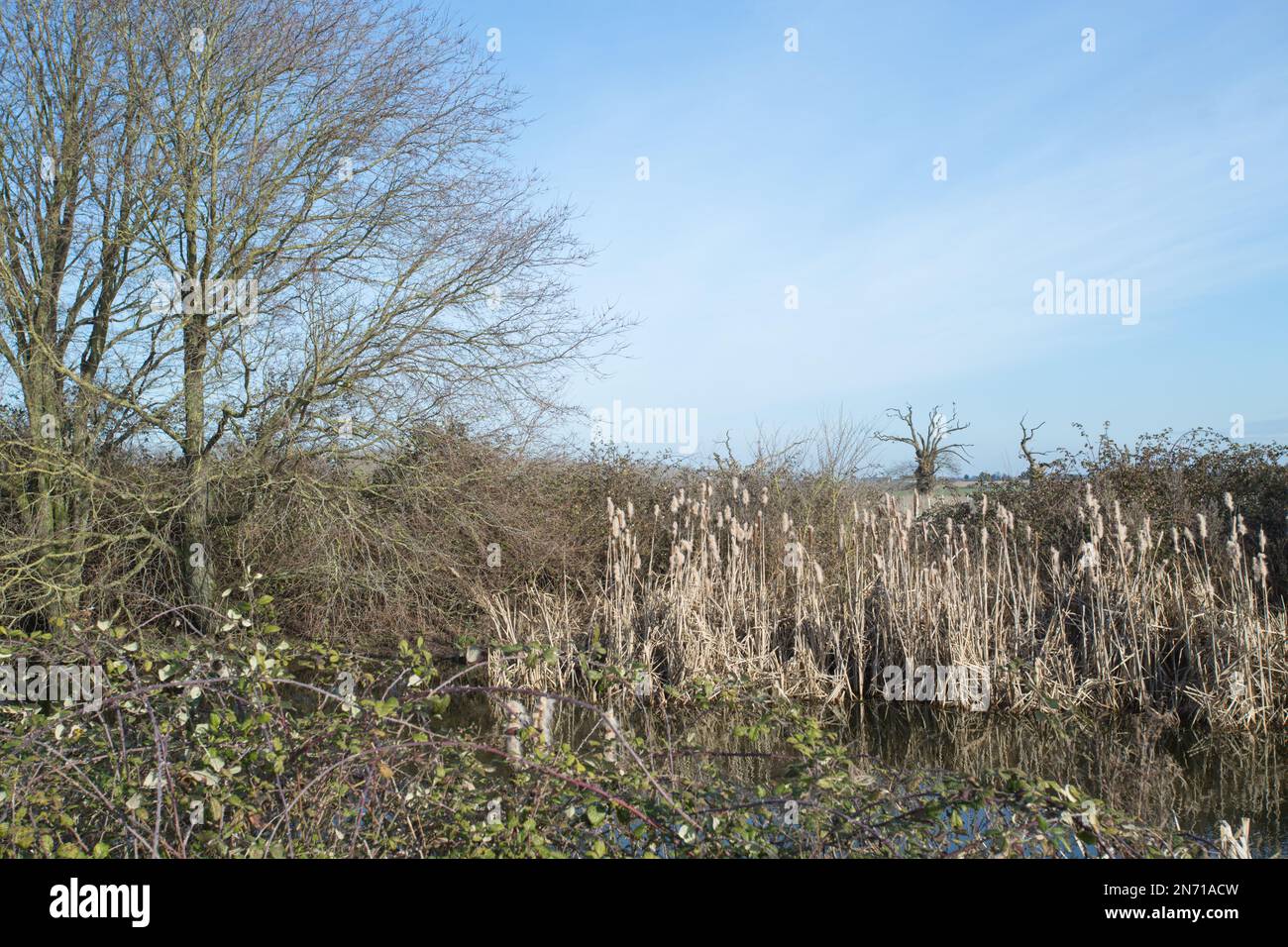 Landscape showing water course, pond and rustic scene along a Public ...