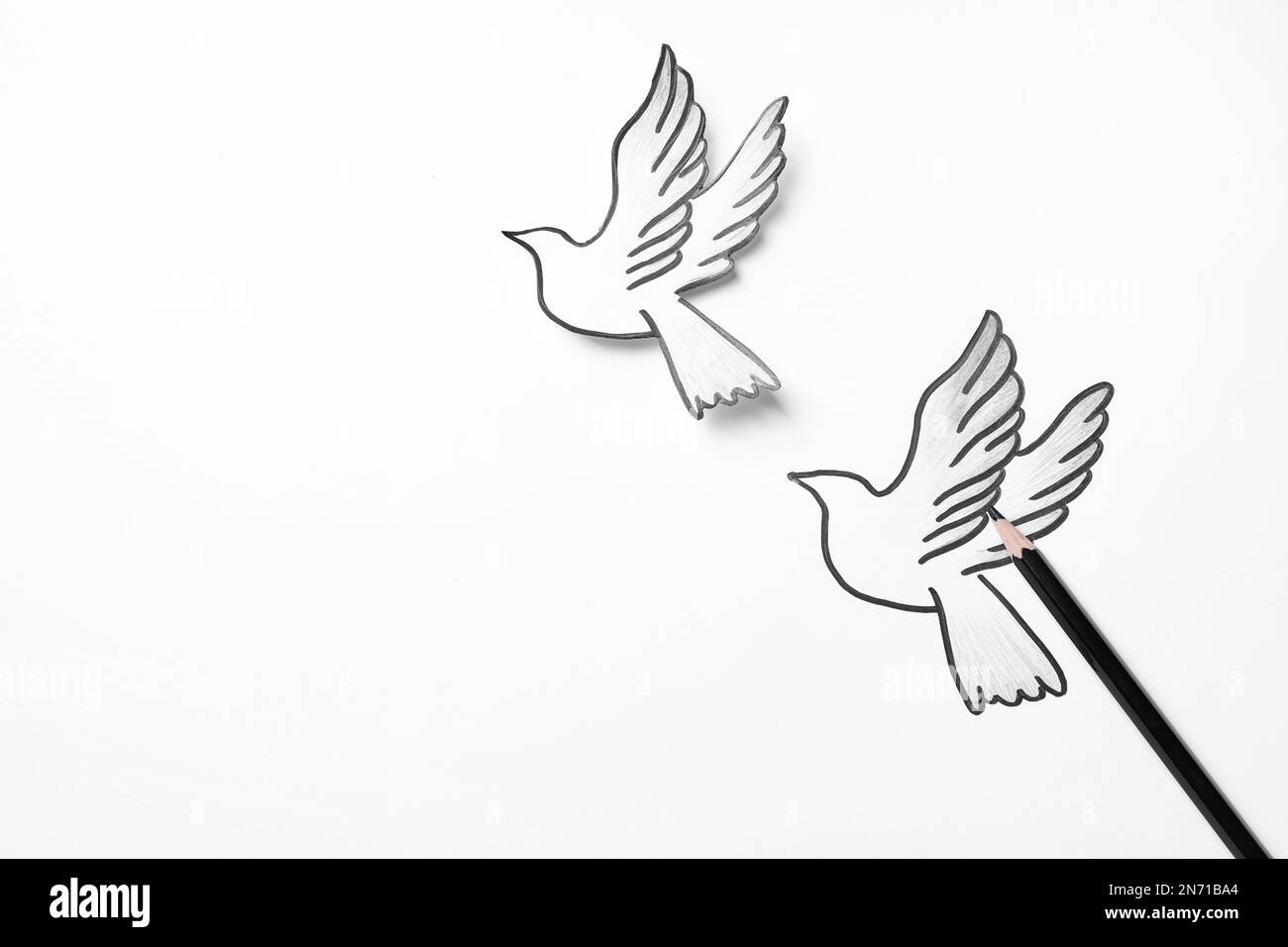 Pencil near drawing of beautiful doves and on white background, top ...