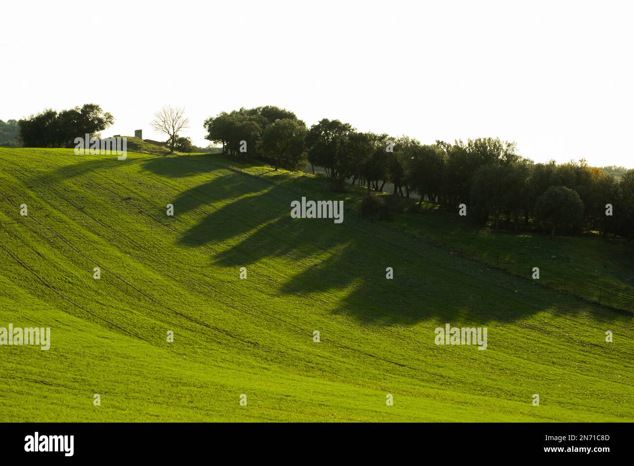 Rural landscape in catalonia hi-res stock photography and images - Alamy