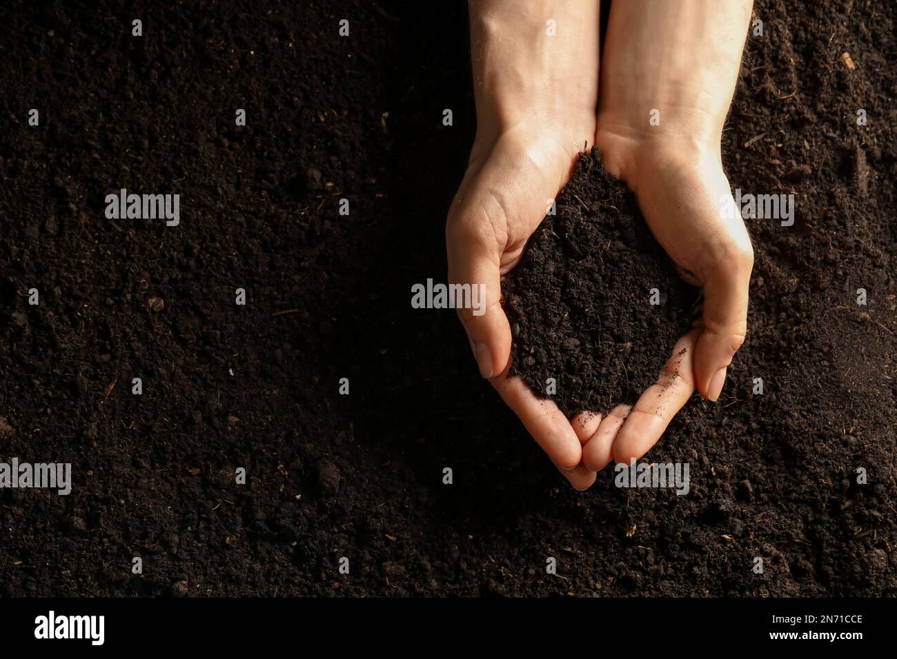 Handful of soil hi-res stock photography and images - Alamy