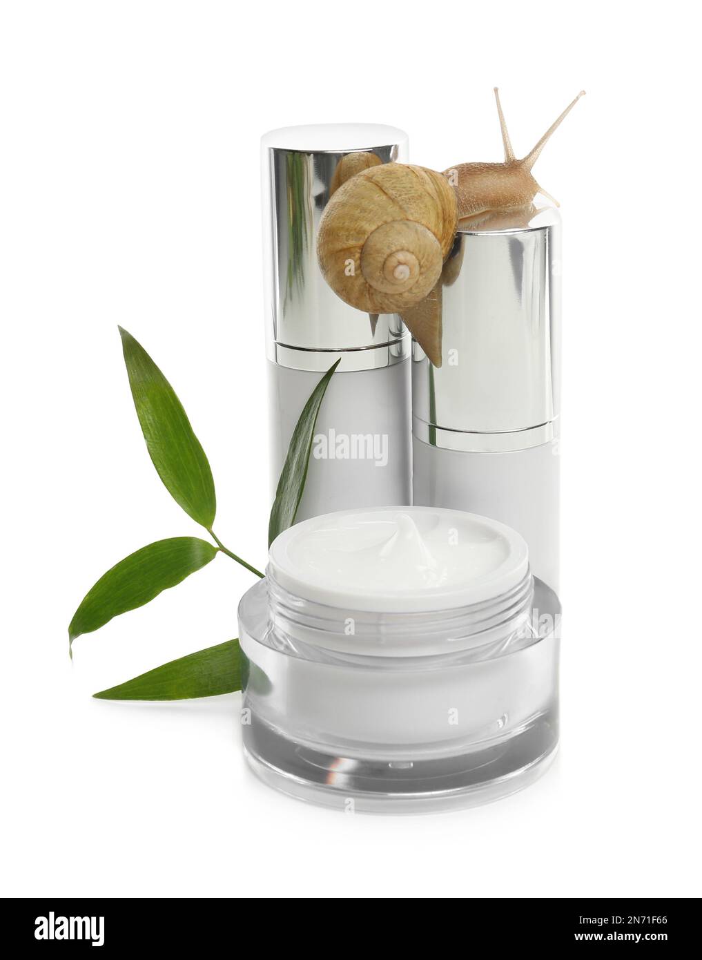 Snail, cosmetic products and green leaves isolated in white Stock Photo ...