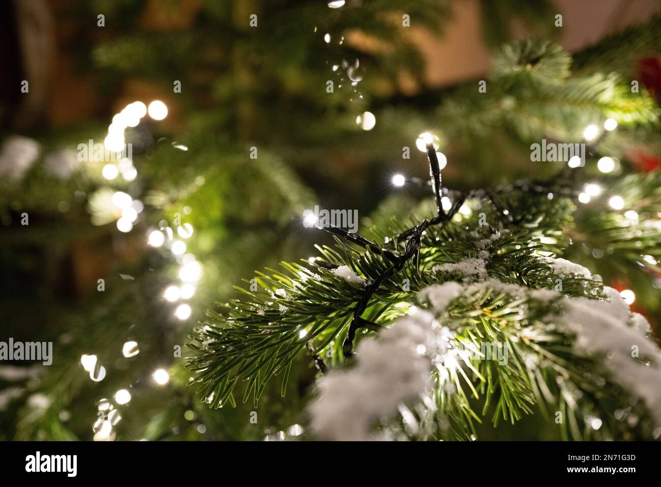 Winter, advent, decorated christmas tree, snow covered fir branches ...