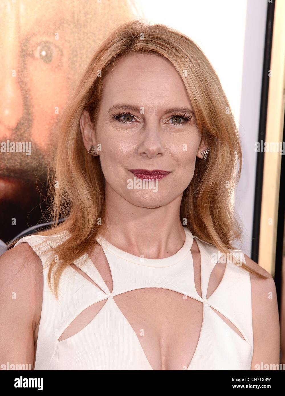 Amy Ryan arrives at the premiere of "Clear History" at the Cinerama ...