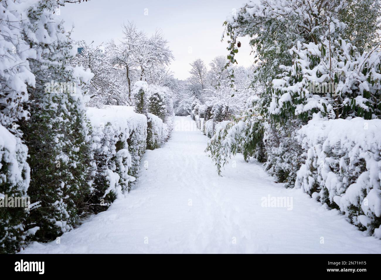 Hedges winter garden hi-res stock photography and images - Alamy